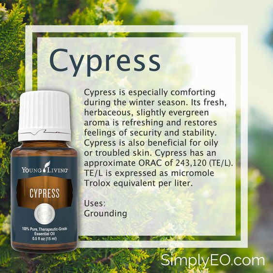 cypress - A Vintage Farmwife